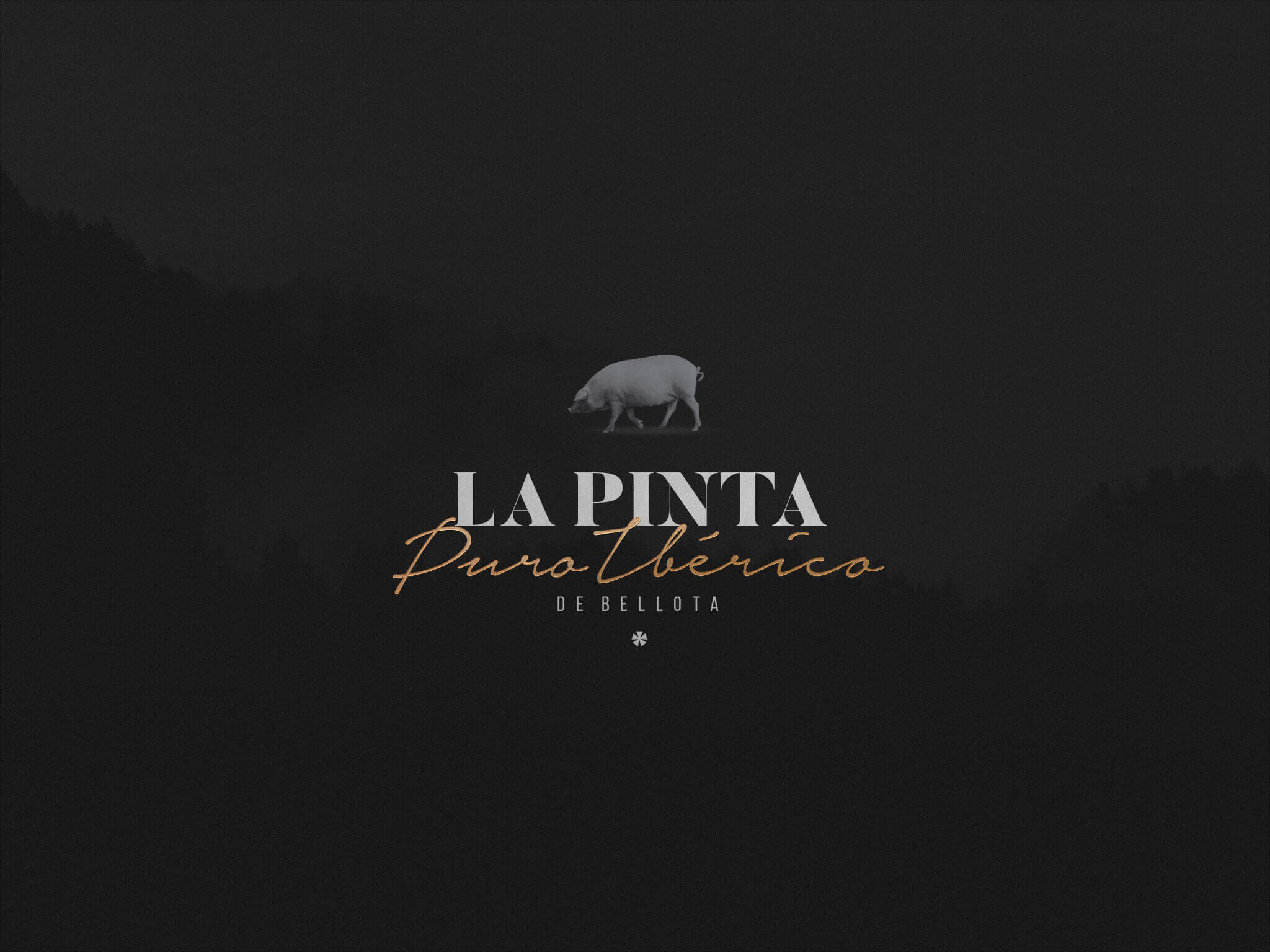 Projeto de Branding - marca La Pinta - BULLSEYE